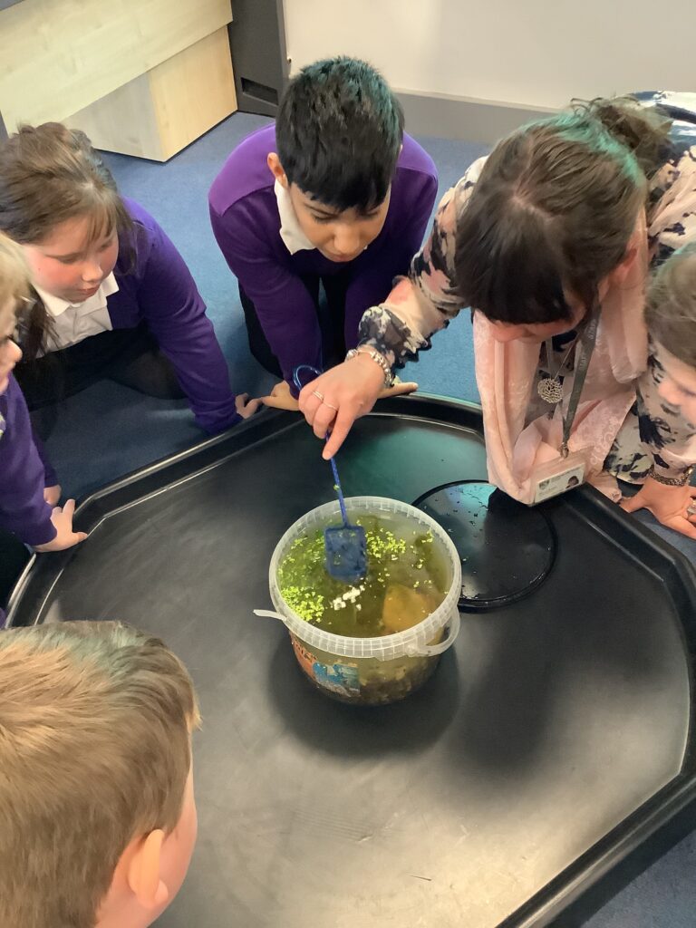 We have tadpoles in 7B! - Rowlands Gill Primary School