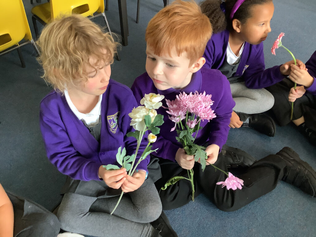 What is a plant? - Rowlands Gill Primary School